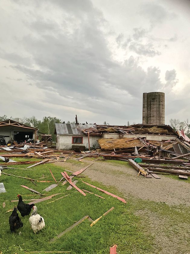 Storm clean up begins | News, Sports, Jobs - The Daily News